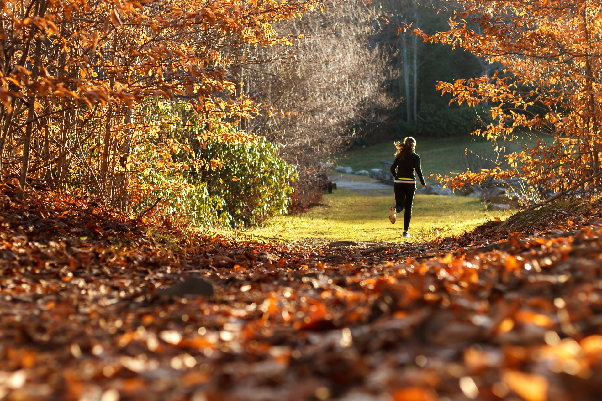 Que faire en automne à Genève : dix idées sympas - Genève pas cher